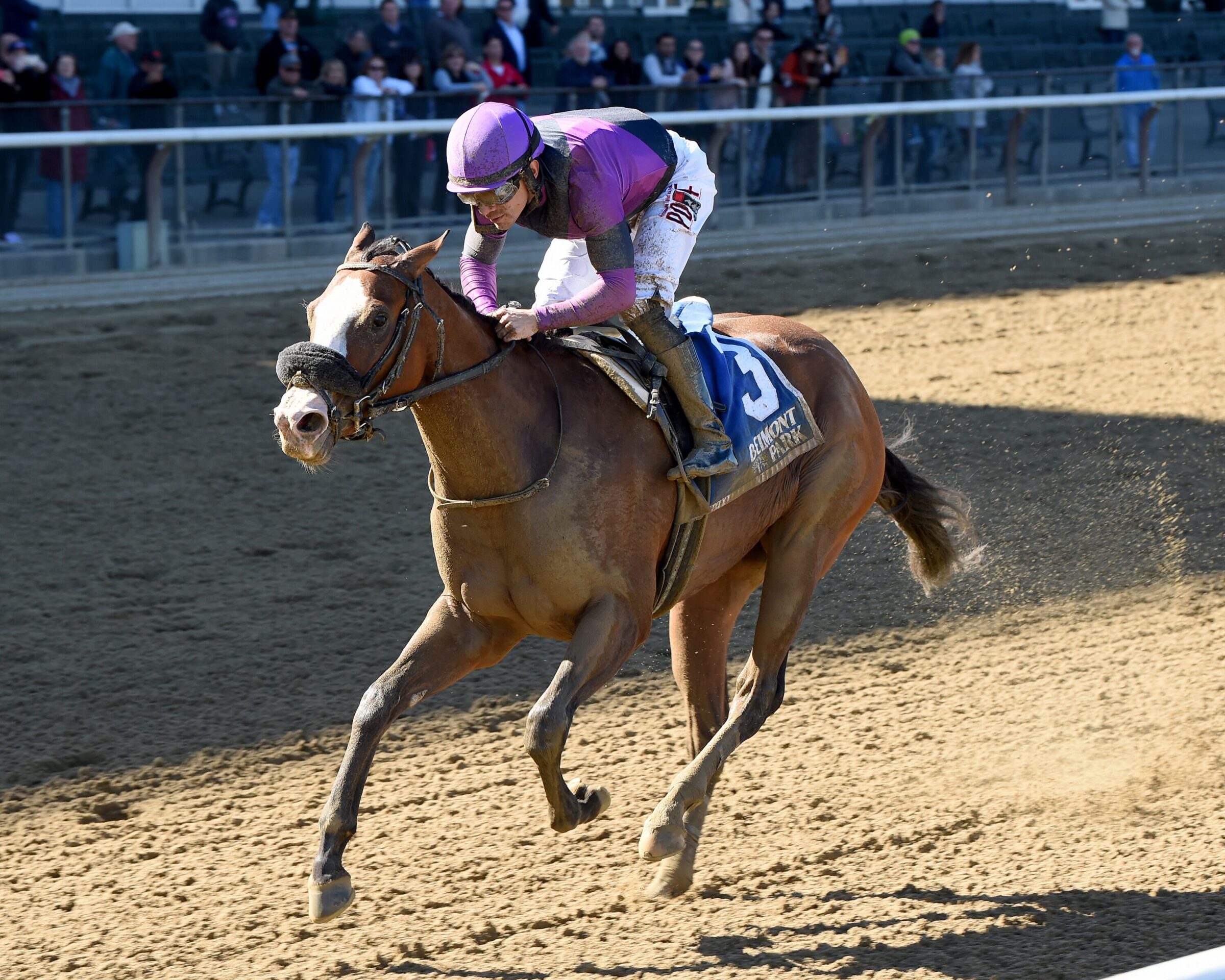 Ten Strike Rolls in Final Month of 2019 on a High Note - Ten Strike Racing