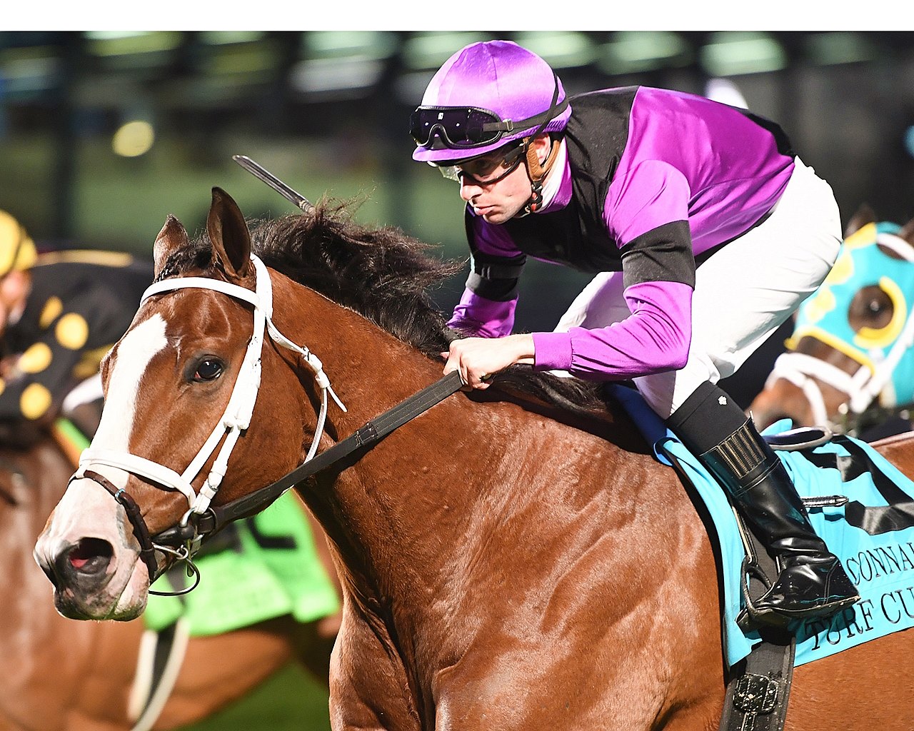 Dot Matrix Picks Up First Graded Stakes Victory on Big Weekend for Ten ...