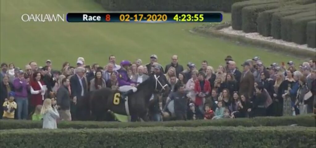 WARRIOR'S CHARGE Battles to Win G3 Razorback Handicap - Ten Strike Racing