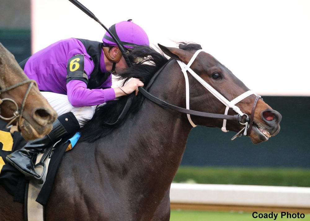 WARRIOR'S CHARGE Battles to Win G3 Razorback Handicap - Ten Strike Racing