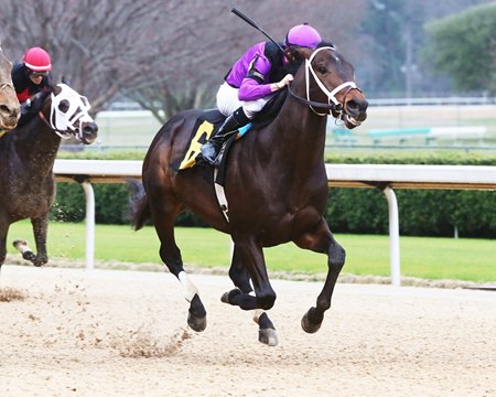 WARRIOR'S CHARGE Battles to Win G3 Razorback Handicap - Ten Strike Racing