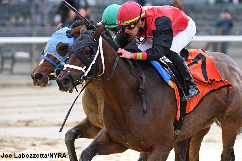 Lady Rocket Scores Second Stakes Win of 2021 in Pumpkin Pie - Ten ...