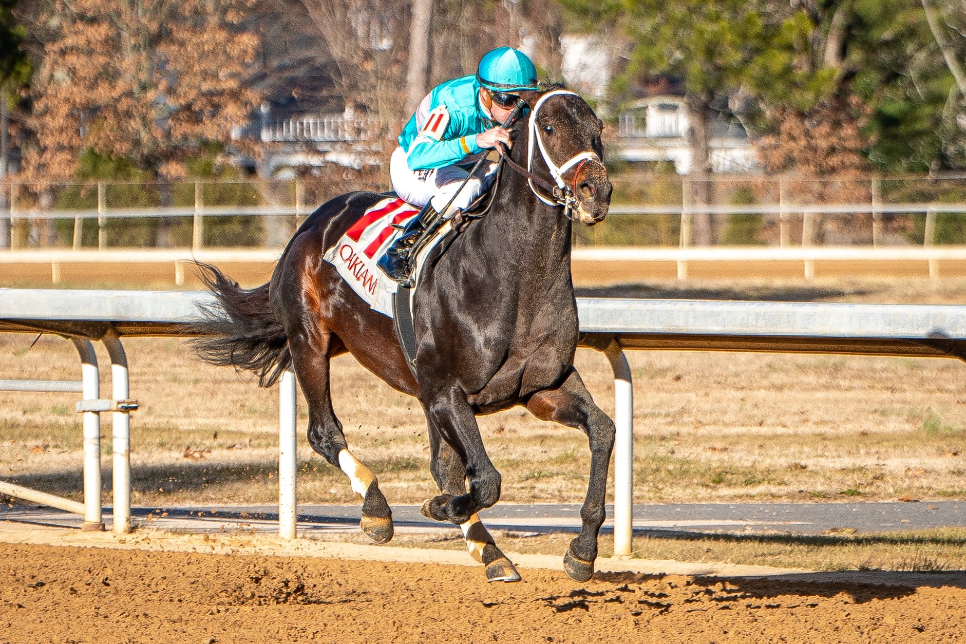 Warrior's Charge Posts 101 Beyer in 9 3/4 Length Oaklawn Romp - Ten ...